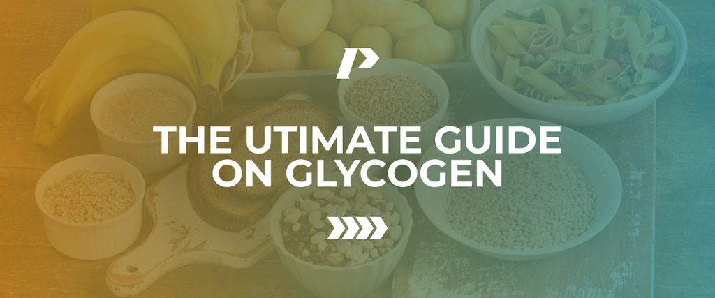 THE ULTIMATE GUIDE ON GLYCOGEN – PRO®